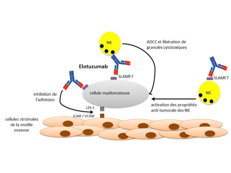 empliciti（elotuzumab） - RxCare